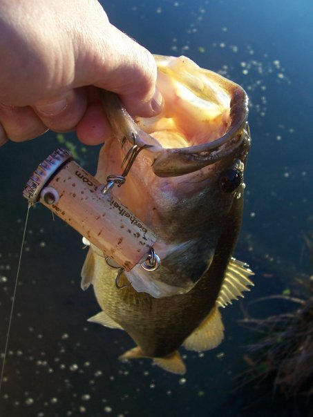 Cackalacky® Booze Bait® Fishing Lure